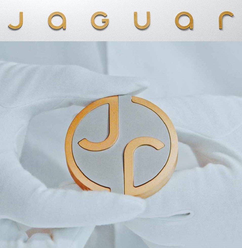 Elon Musk e críticos do movimento "Woke" atiram-se à Jaguar. Saiba ...