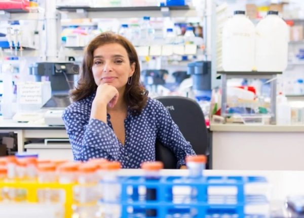 Maria Manuel Mota: conheça a quarta Mais Poderosa da Saúde em Portugal ...